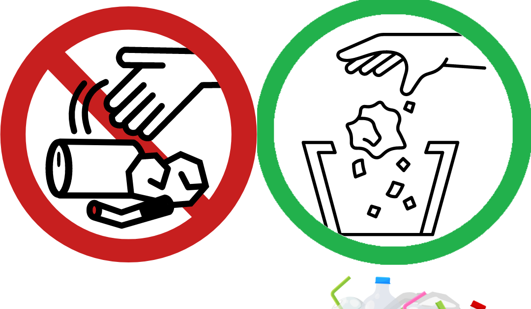 Is the best way to reduce littering to add more bins? | Big Debate Club